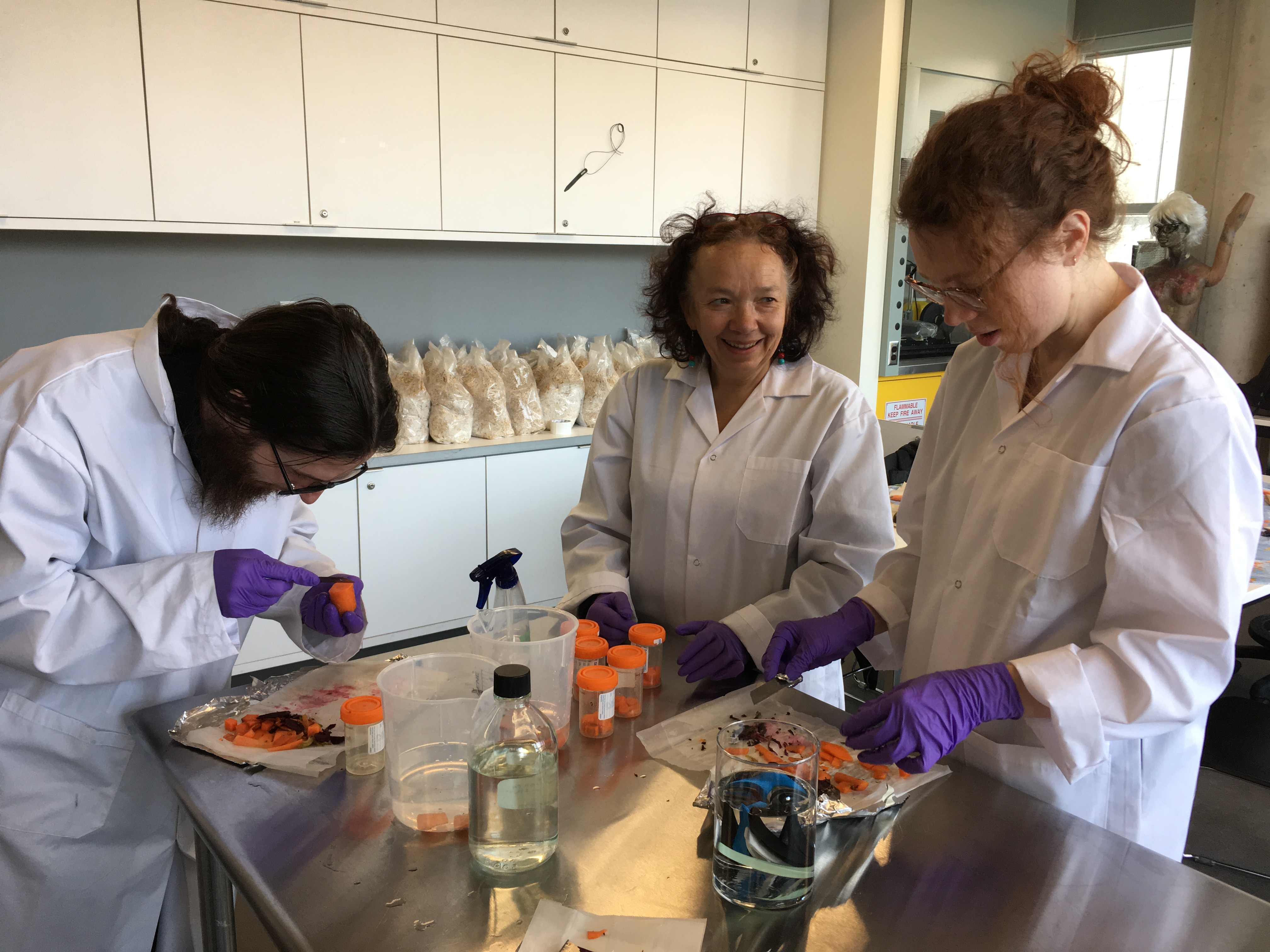 Plant Tissue Culture Workshop at Milieux Institute