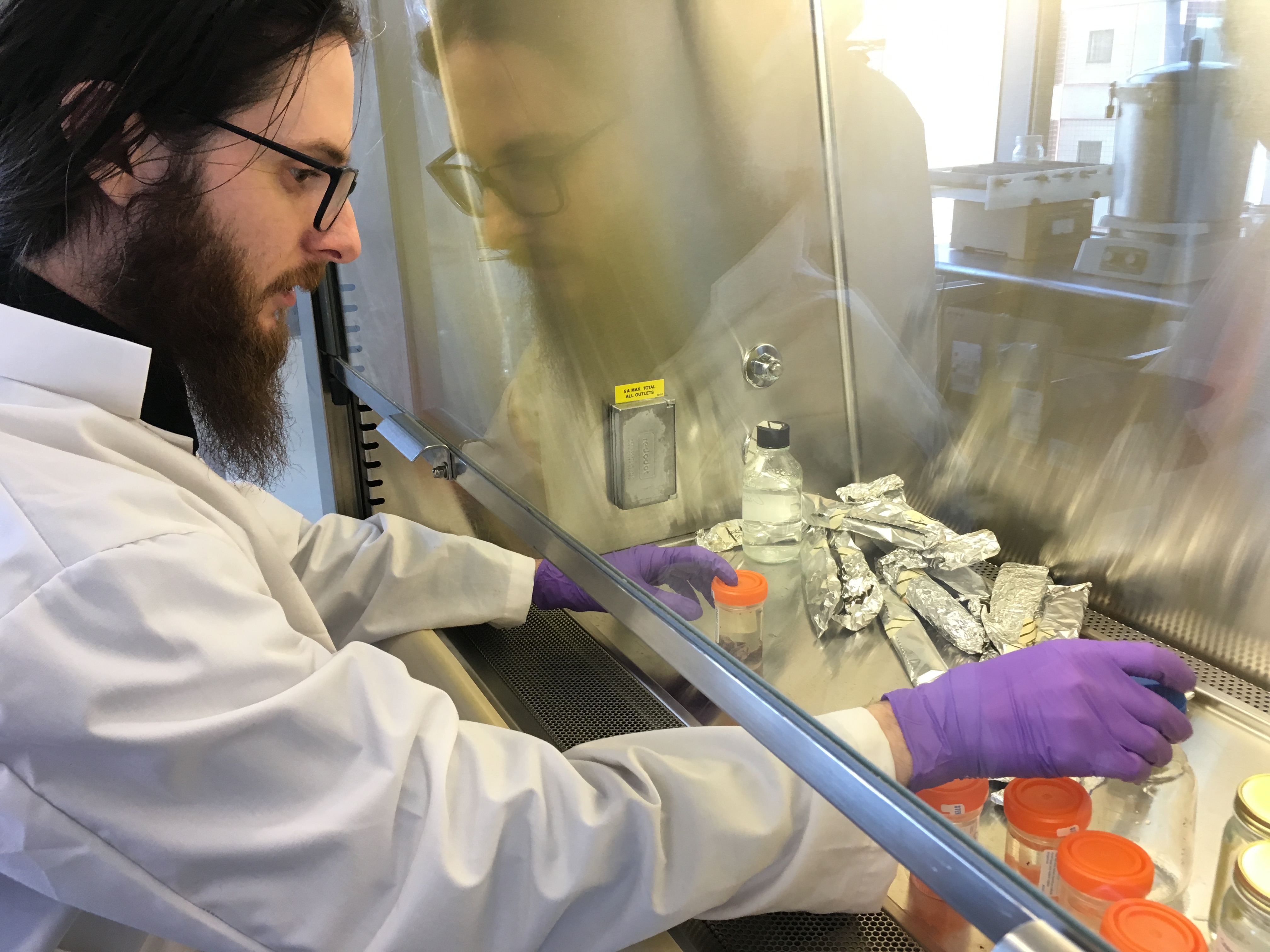 Plant Tissue Culture Workshop at Milieux Institute