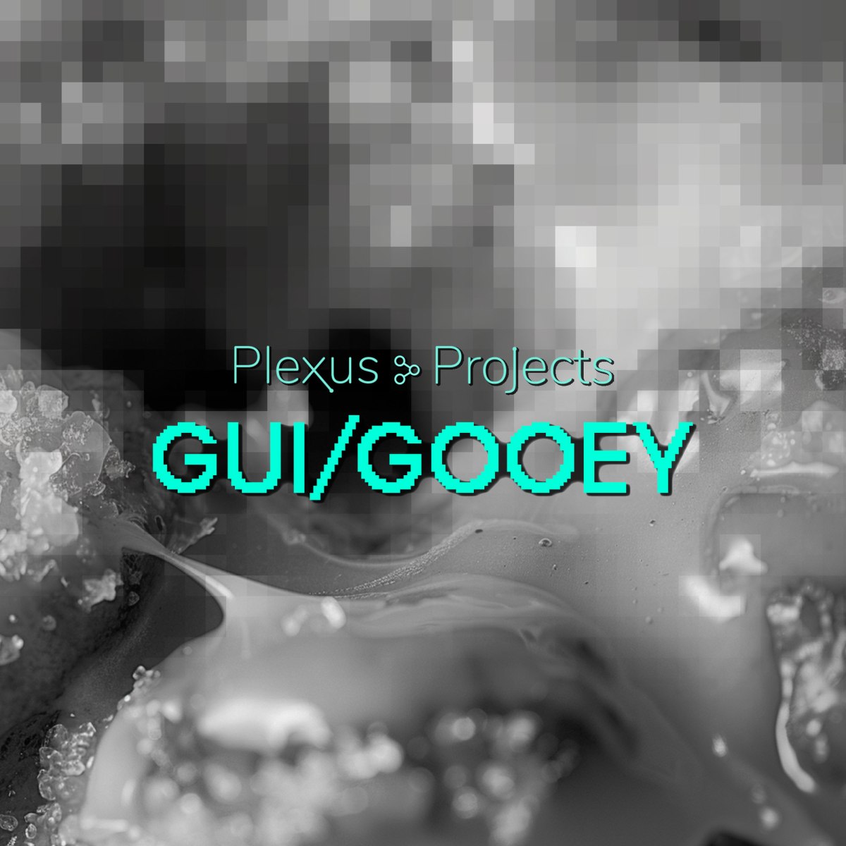 GUI/GOOEY, Plexus Projects, NY